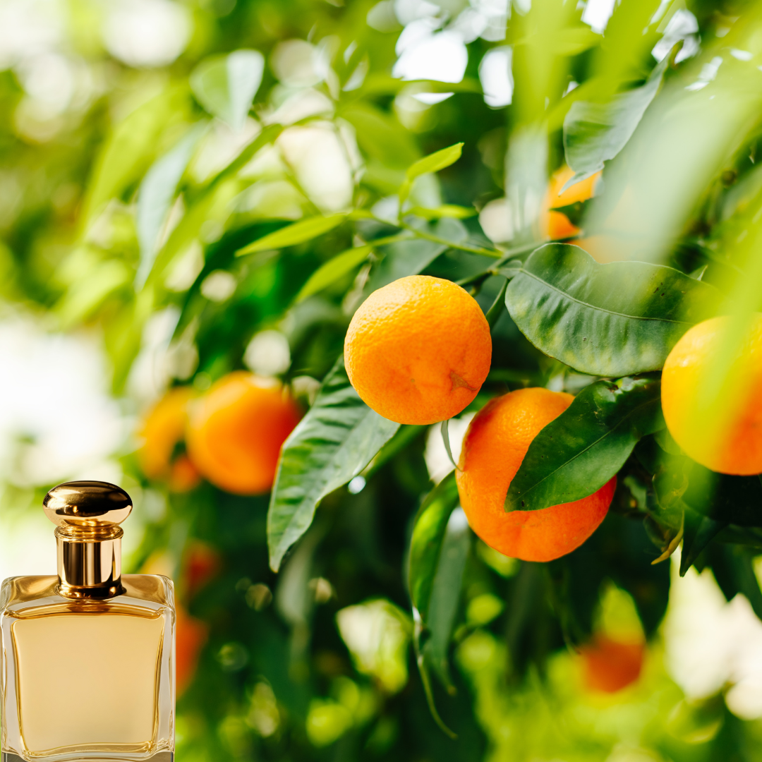 Mandarin Fragrance FO63 – Wick and Pour